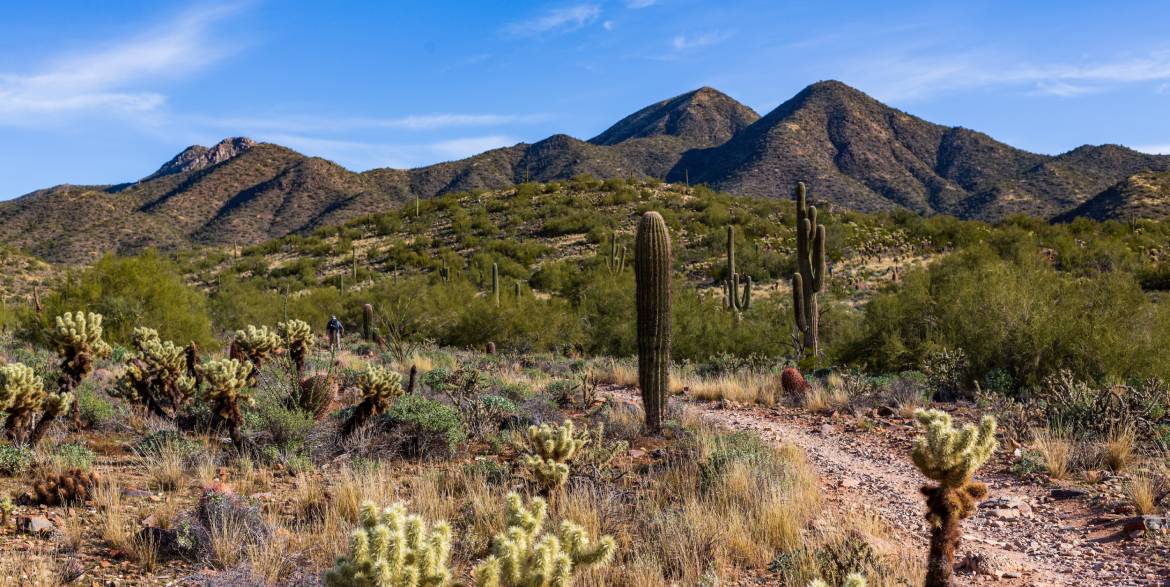 Hiking in the desert